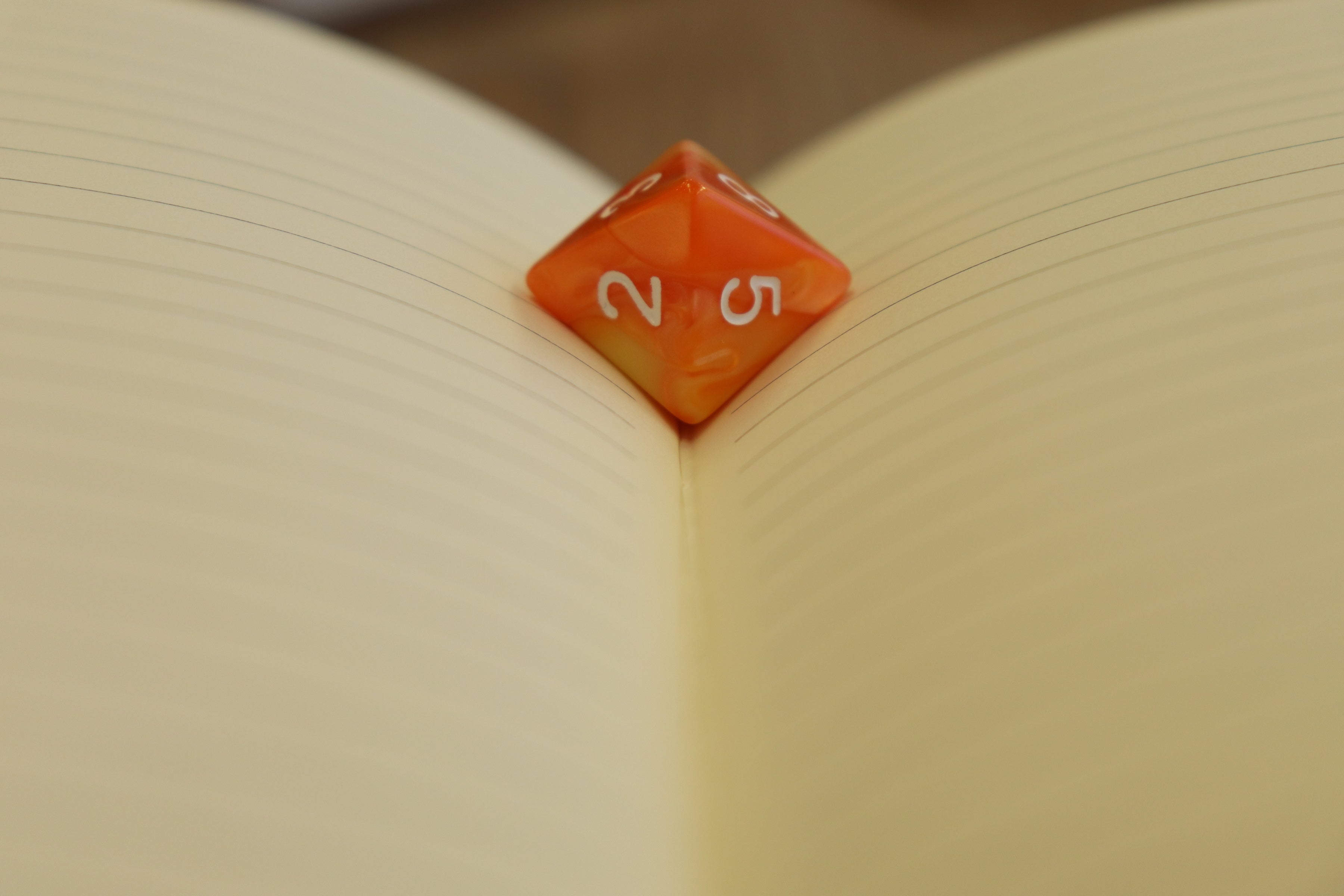 Notebooks – The Speechless Bard